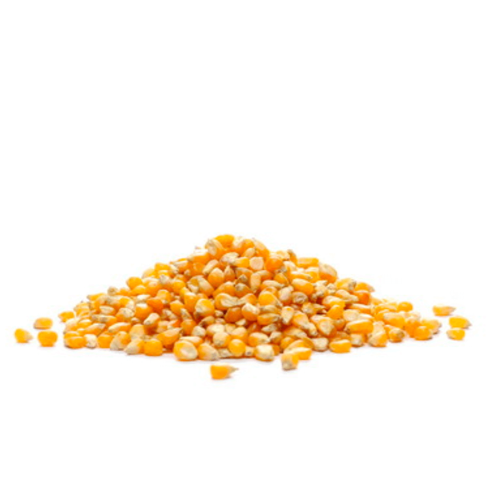 Popcorn – Sol Refill